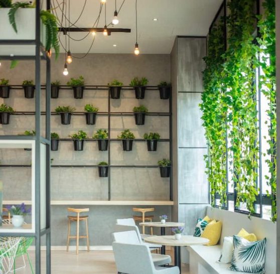 TITANIUM CEMENT INTERIOR TEXTURED PAINT – Maziya